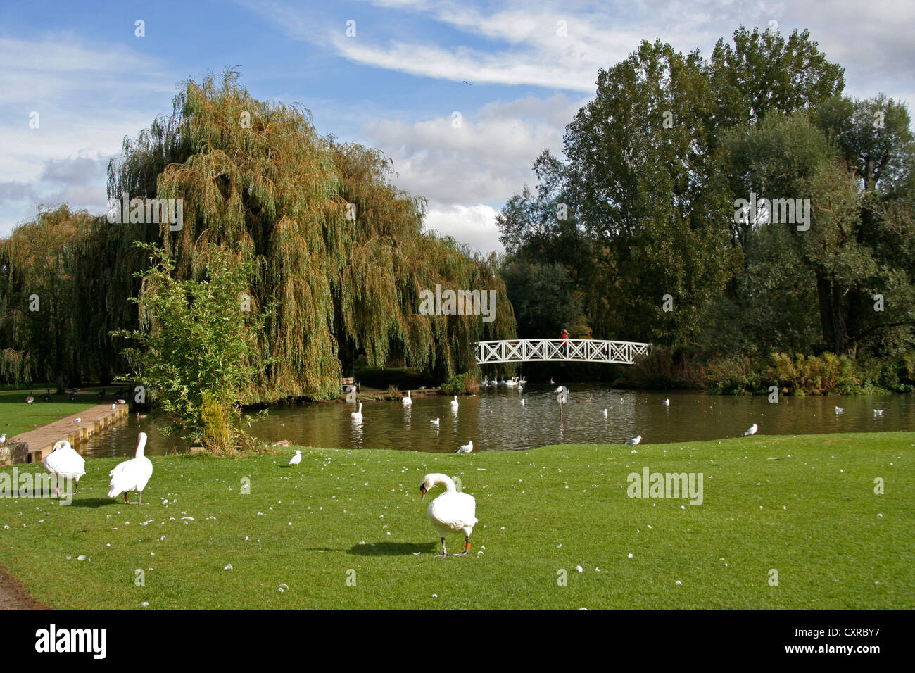 Riverside Park St Neots Cambridgeshire Stock Photo - Alamy