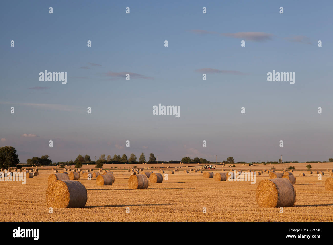 Farming in the fens hi-res stock photography and images - Alamy