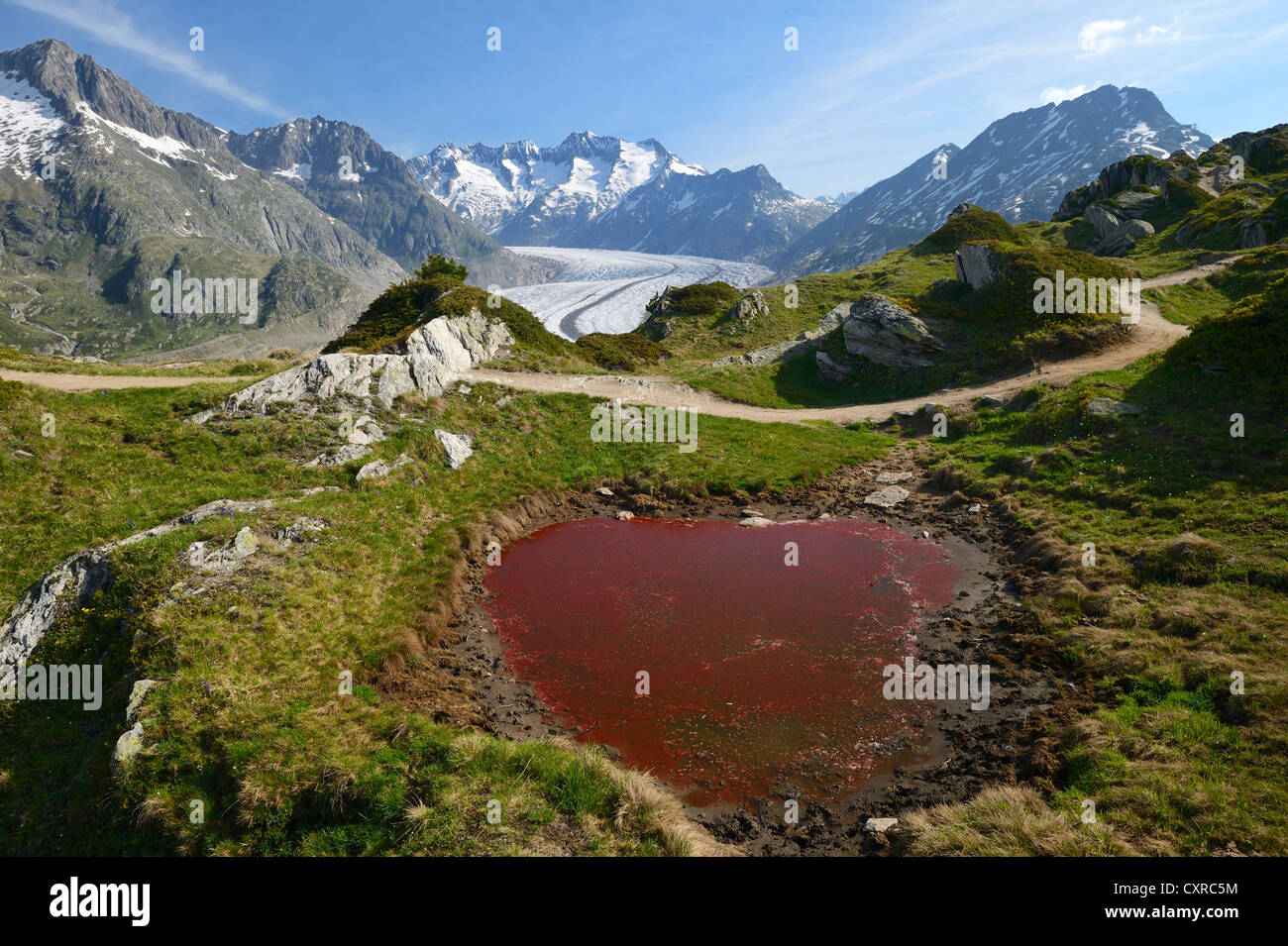 Jungfrau aletsch protected area hi-res stock photography and images - Alamy