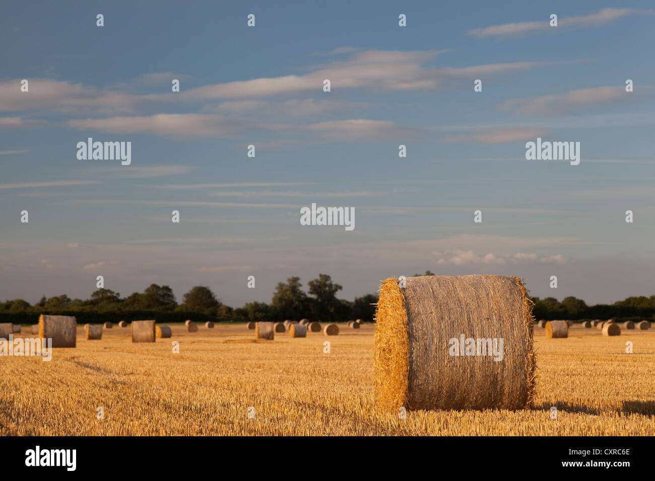 Farming in the fens hi-res stock photography and images - Alamy