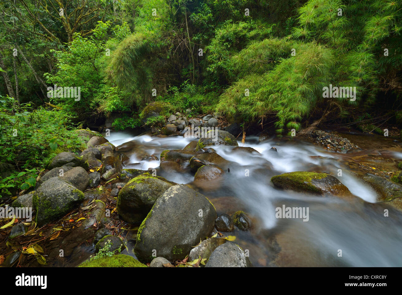 Rio Savegre, San Gerardo de Dota, Costa Rica, Central America Stock ...