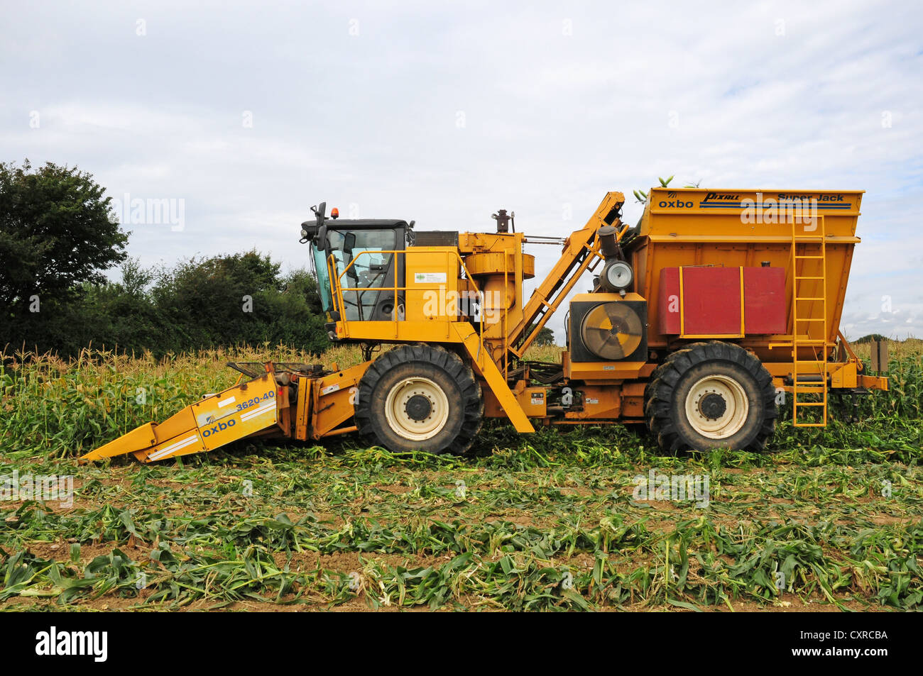 Combined corn hi-res stock photography and images - Alamy