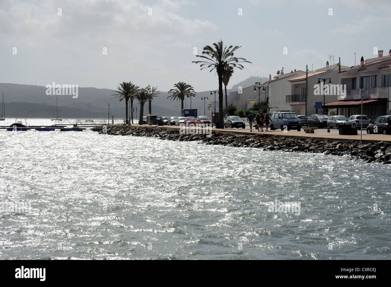Palm trees along the promenade of Fornells, Minorca, Menorca, Balearic ...