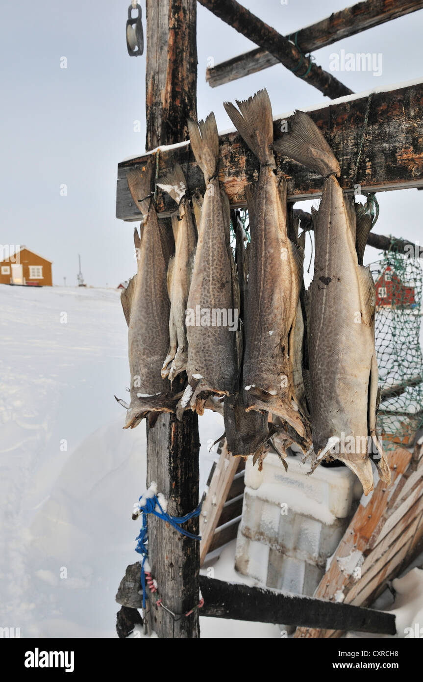 Outdoor Fish Drying Rack High Resolution Stock Photography and Images ...