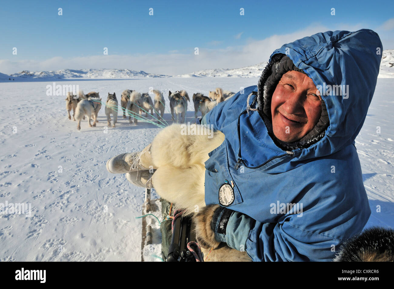 Inuit dog sled hi-res stock photography and images - Alamy