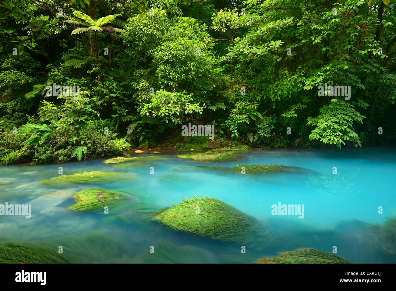 Rio Celeste river in the Tenorio Volcano National Park, Costa Rica ...