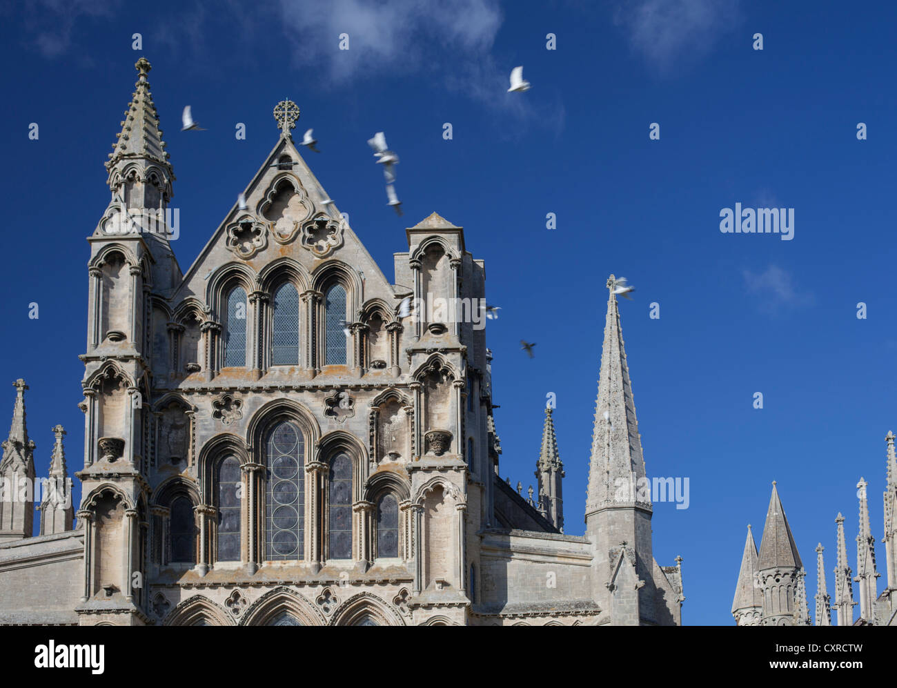 Ely Cathedral, Ely, Cambridgeshire Stock Photo - Alamy
