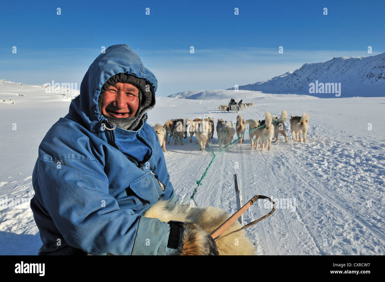 Sled dog tour to the Ilulissat fjord, Greenland, Arctic North America ...