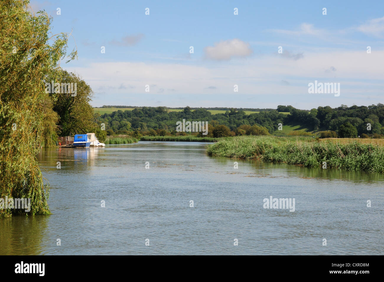 River Arun by the Black Rabbit, Arundel Stock Photo - Alamy