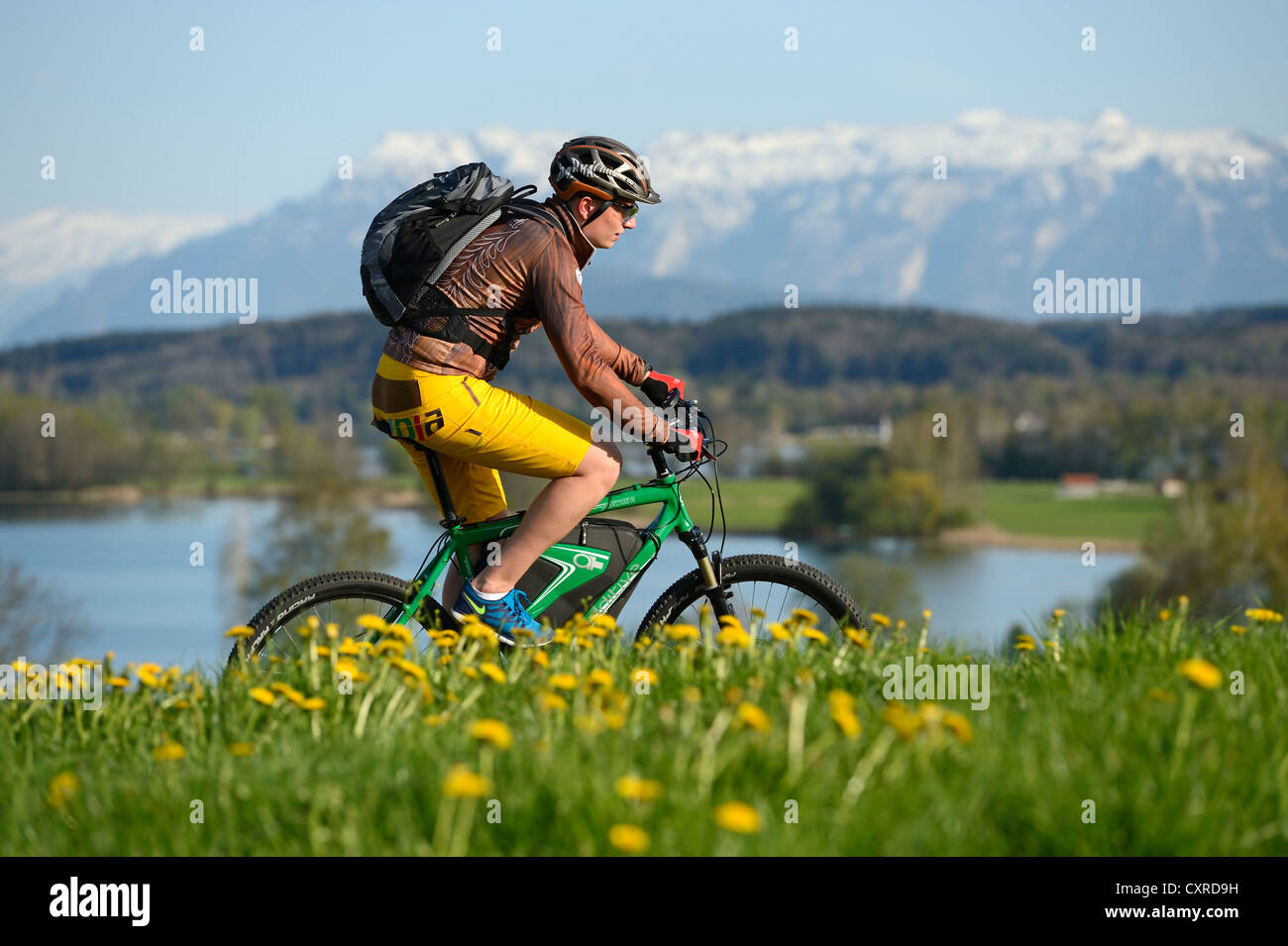 Cyclist on an electric bicycle in front of Tachinger See lake, Chiemgau ...
