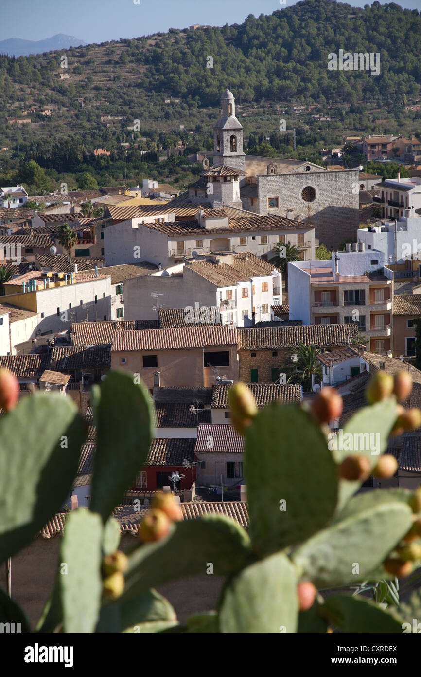 Alaro hi-res stock photography and images - Alamy