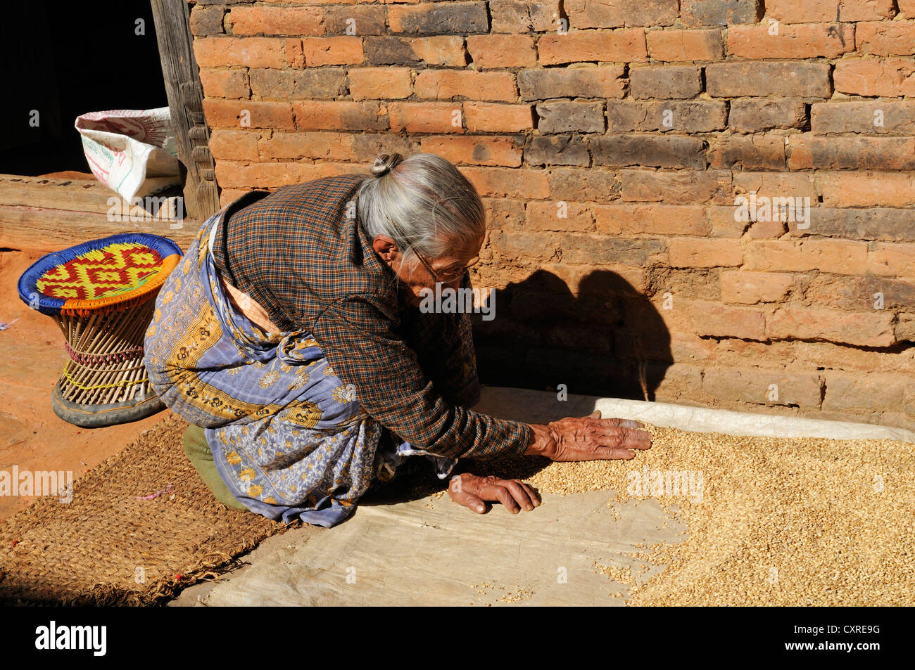 Chaff wheat hi-res stock photography and images - Alamy