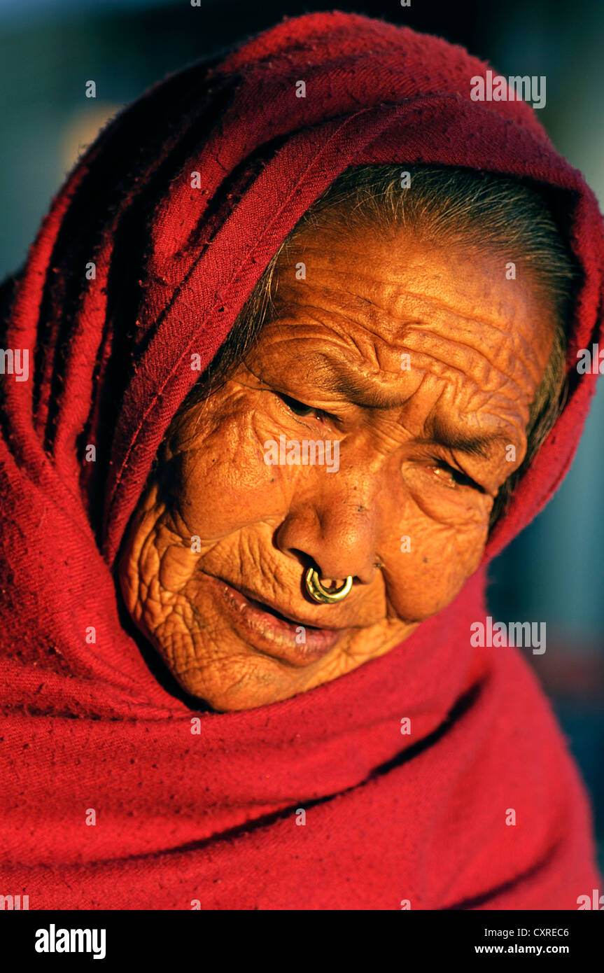 Old Nepalese woman, portrait, Kathmandu Valley, Nepal, Asia Stock Photo ...