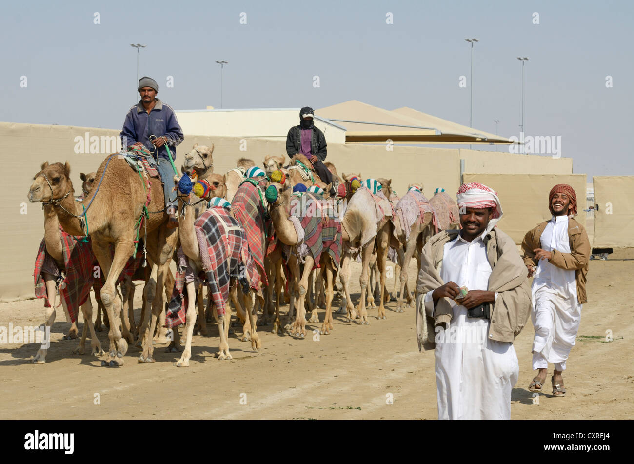 Al Sheehaniya, camel race track, Doha, Qatar, United Arab Emirates ...