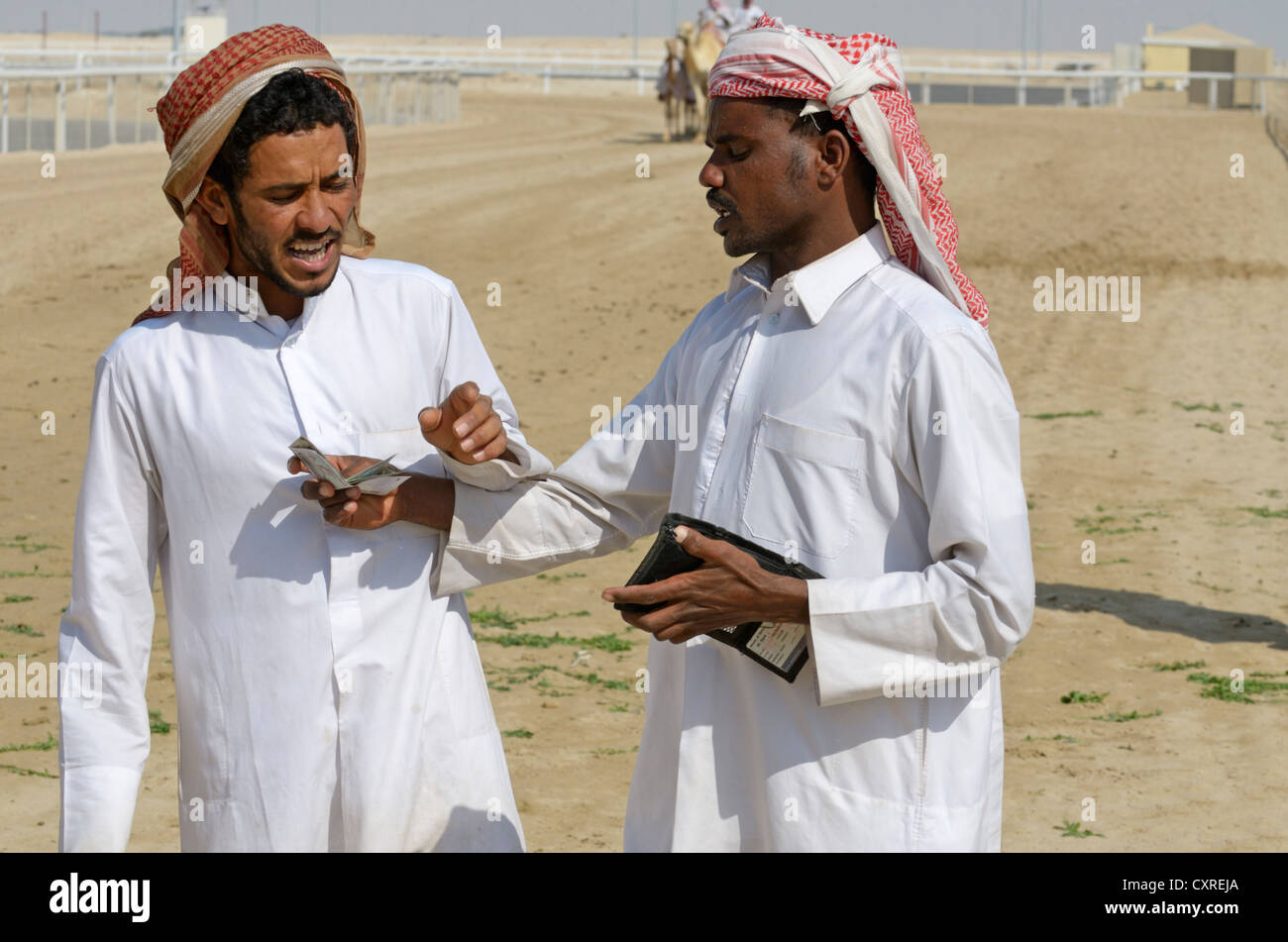Camel race hi-res stock photography and images - Alamy