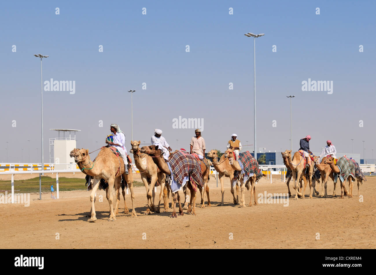 Camel racing hi-res stock photography and images - Alamy