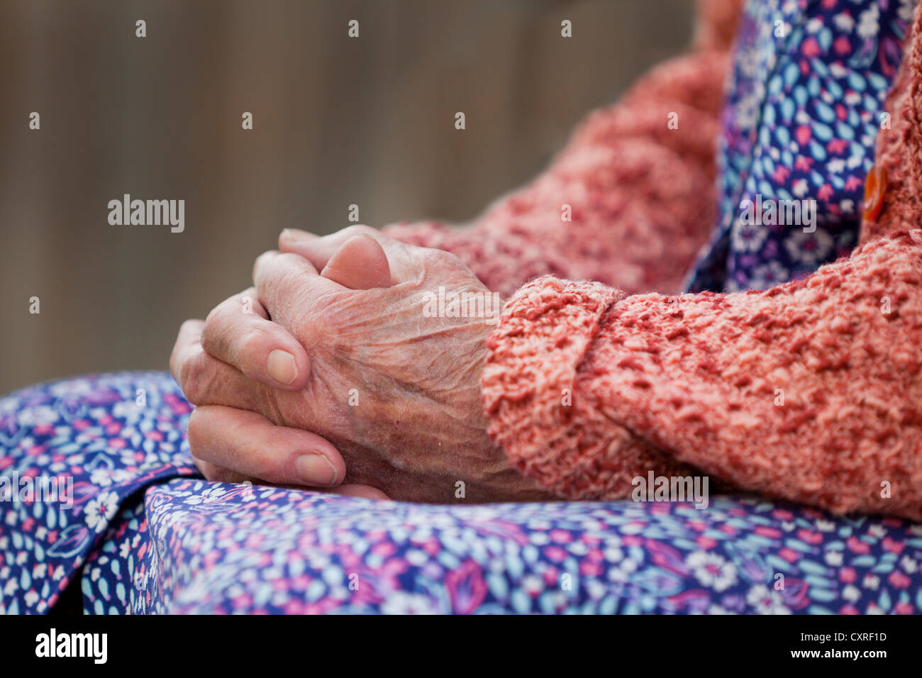 Hands in lap hi-res stock photography and images - Alamy