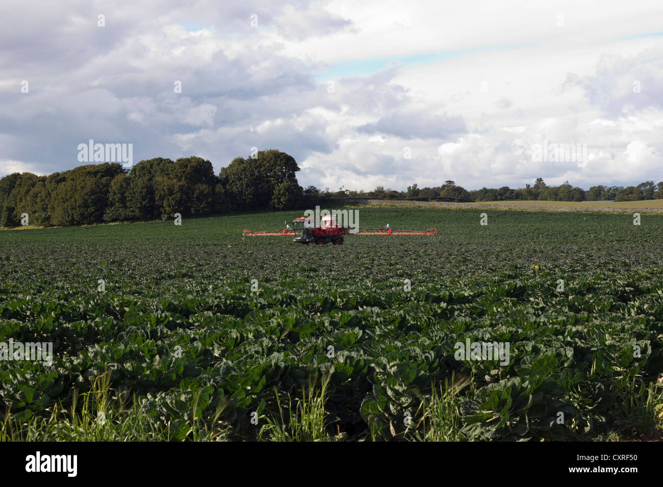 Field crop spraying hi-res stock photography and images - Alamy