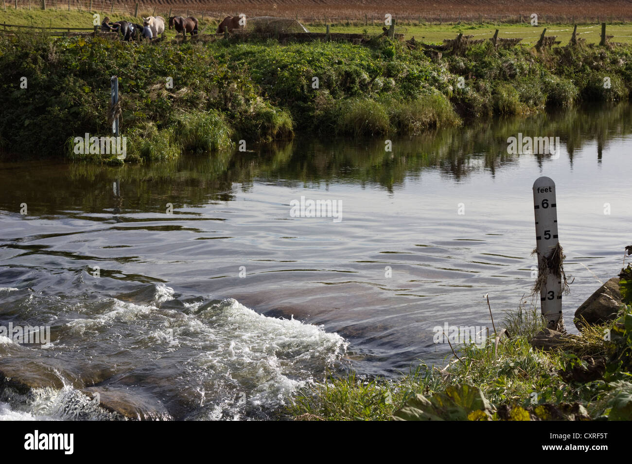 Ford on country lane Stock Photo - Alamy