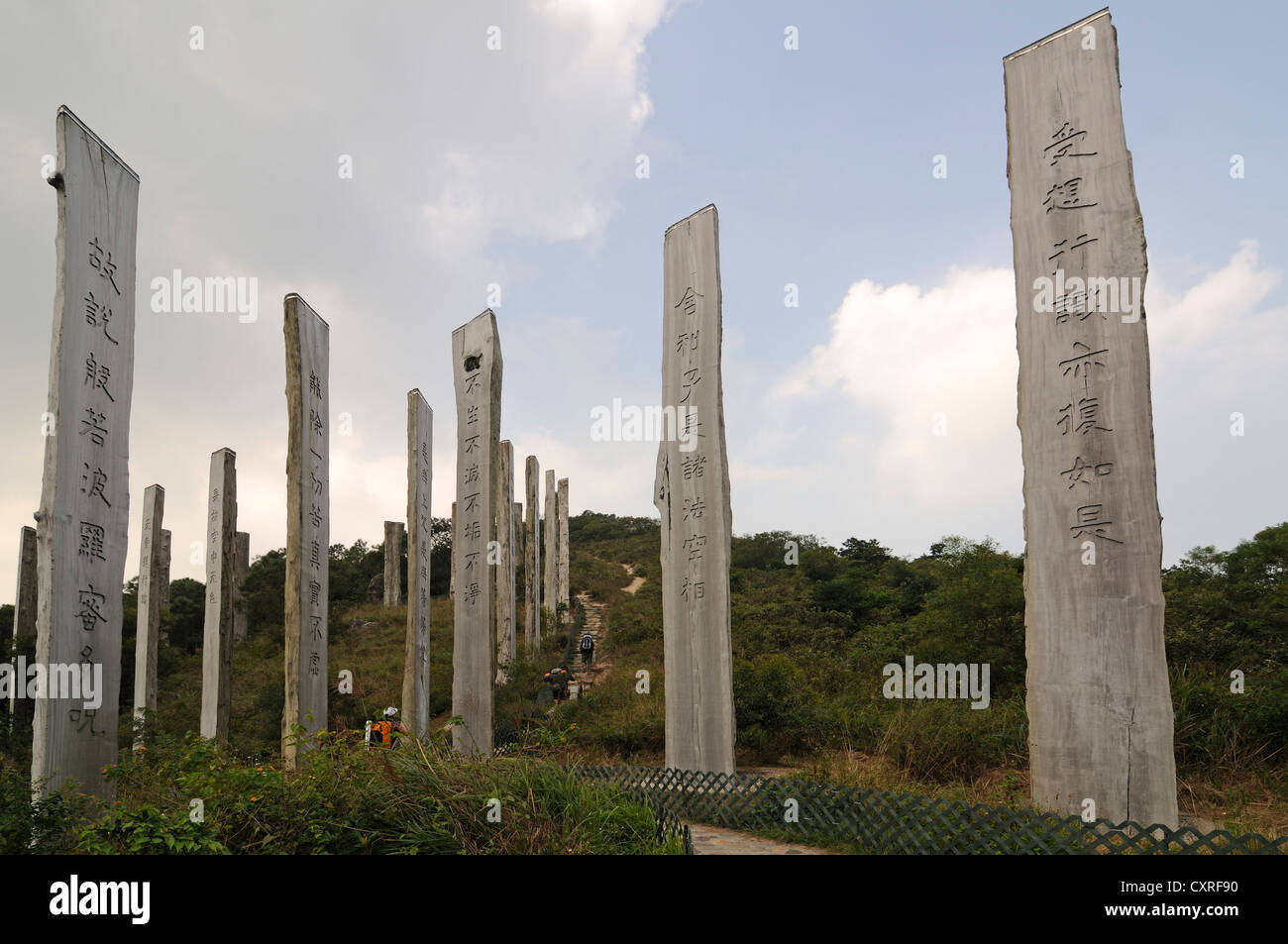 Path of wisdom hi-res stock photography and images - Alamy