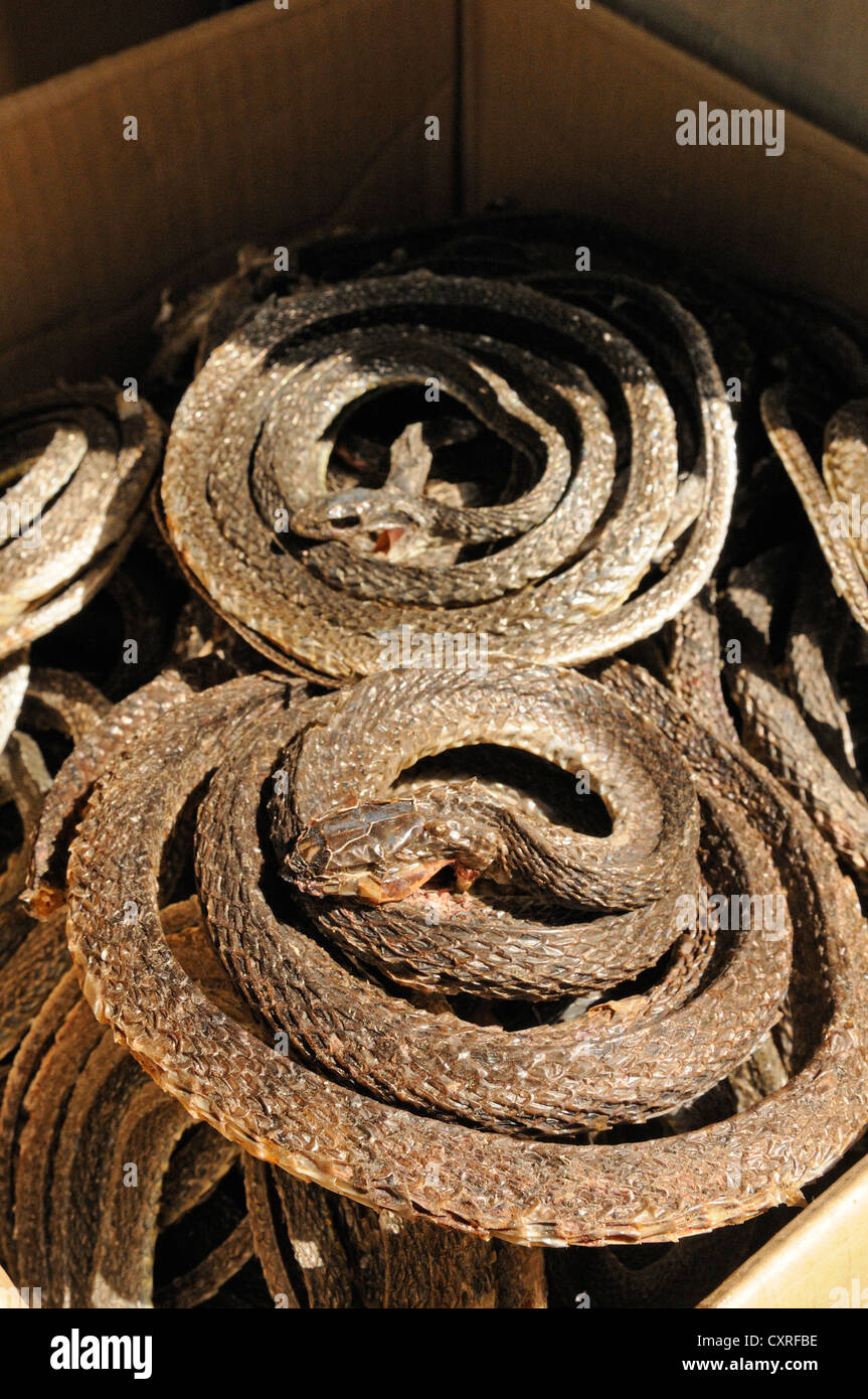 China snake food hi-res stock photography and images - Alamy