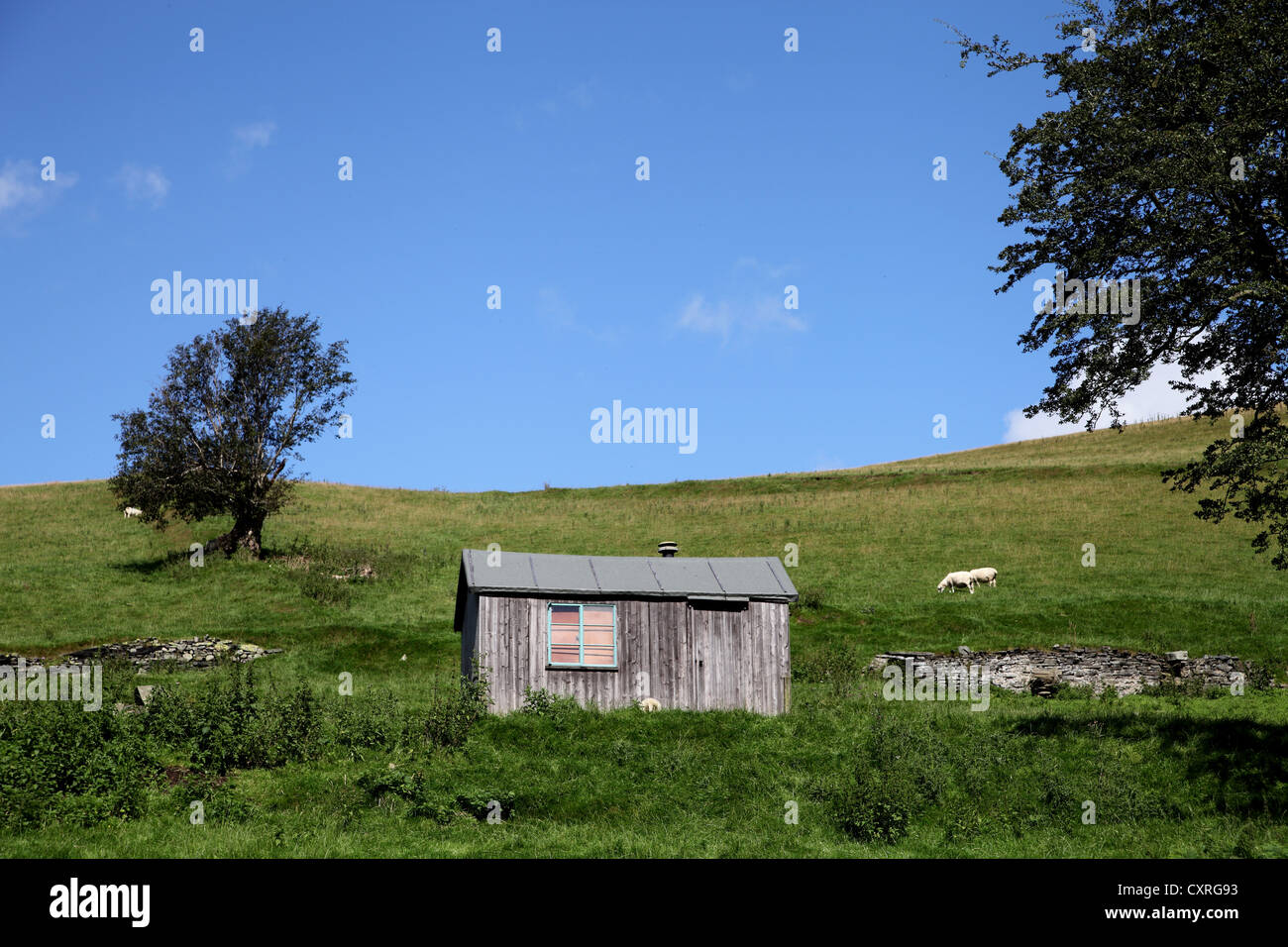 Landscape view of wooden hut or shed in field with blue sky and few ...