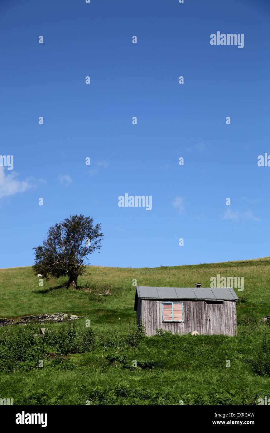 Upright view of wooden hut or shed in field with blue sky and few ...