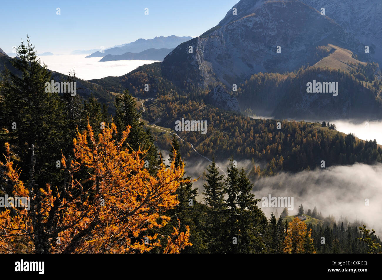 View of a misty valley as seen from Jenner mountain, district of ...