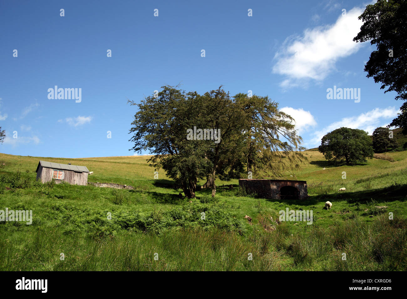View of wooden hut or shed in field with blue sky trees and clouds ...