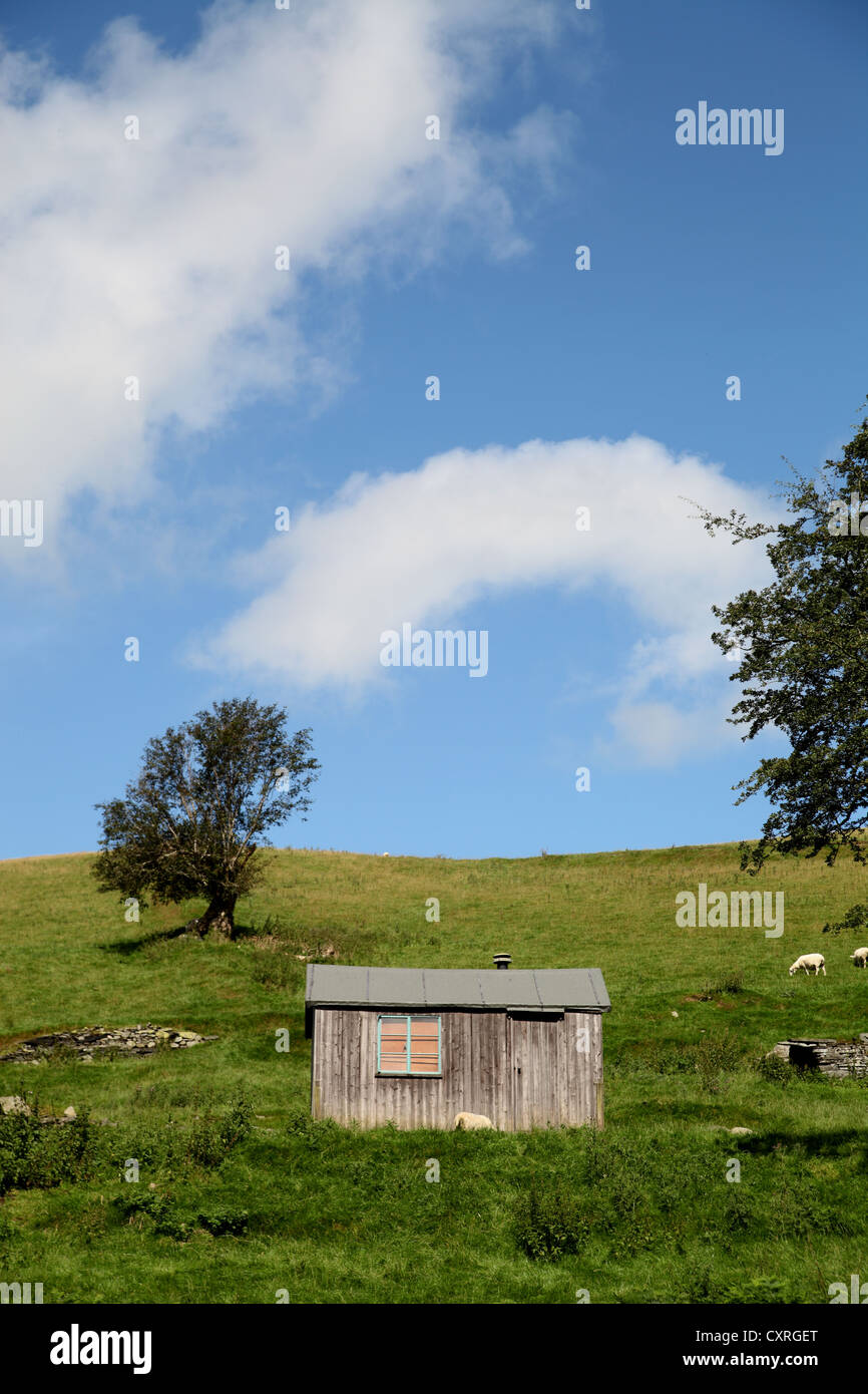 Upright view of wooden hut or shed in field with blue sky and clouds in ...