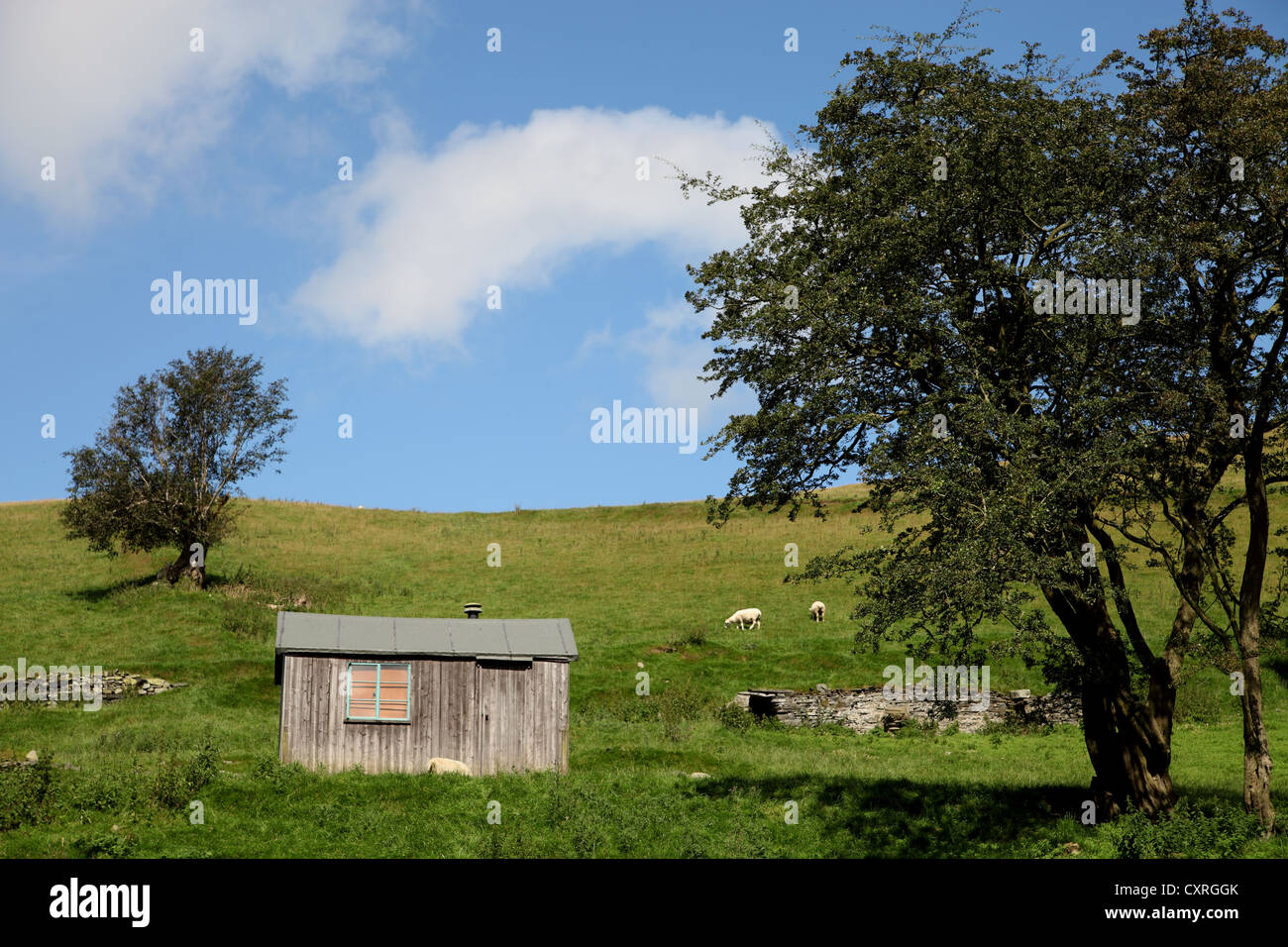 Landscape view of wooden hut or shed in field with blue sky and clouds ...