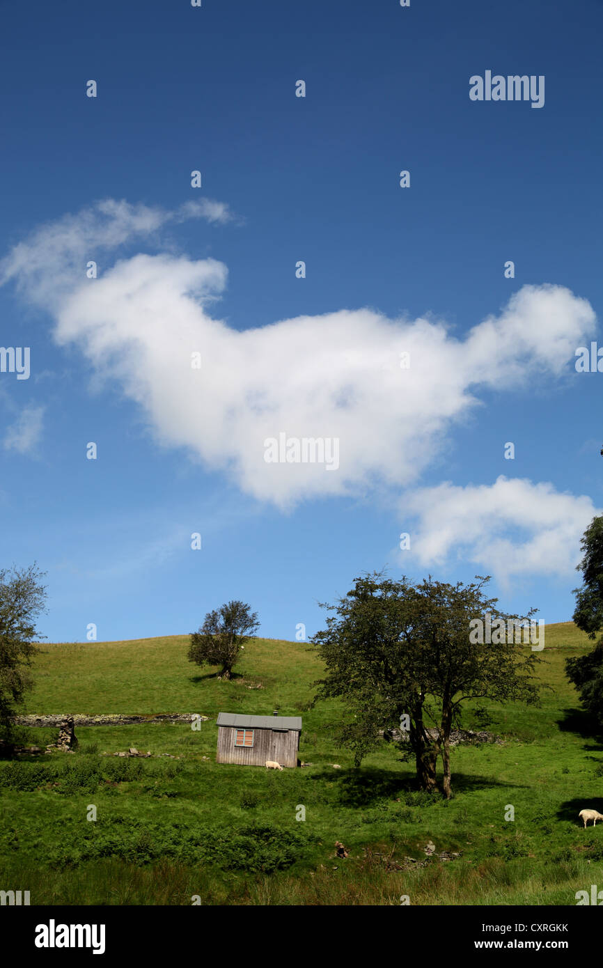Upright view of wooden hut or shed in field with blue sky and unusually ...