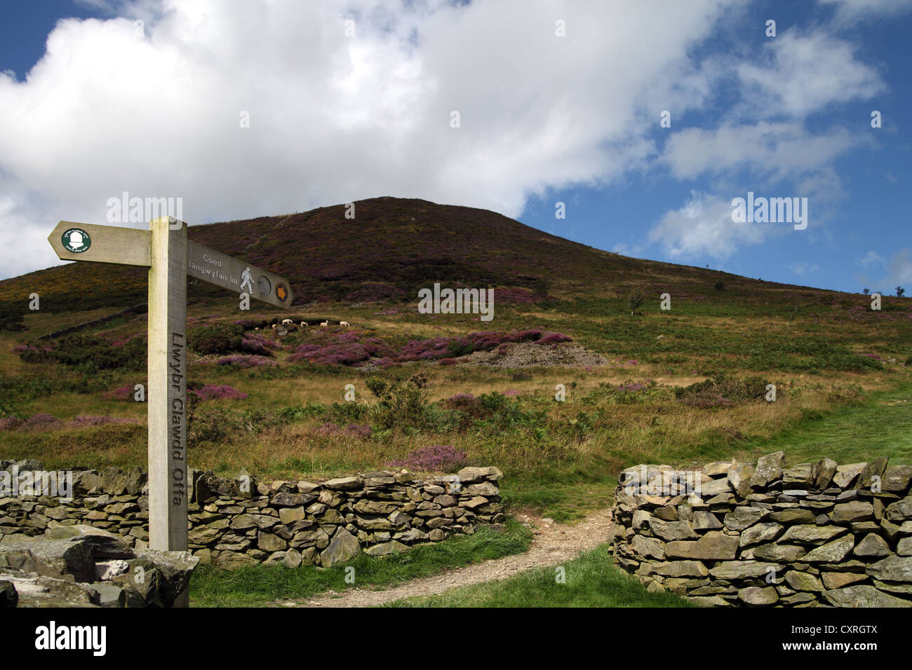 View of signpost showing path in front of Moel Arthur, Clwydian Hills ...