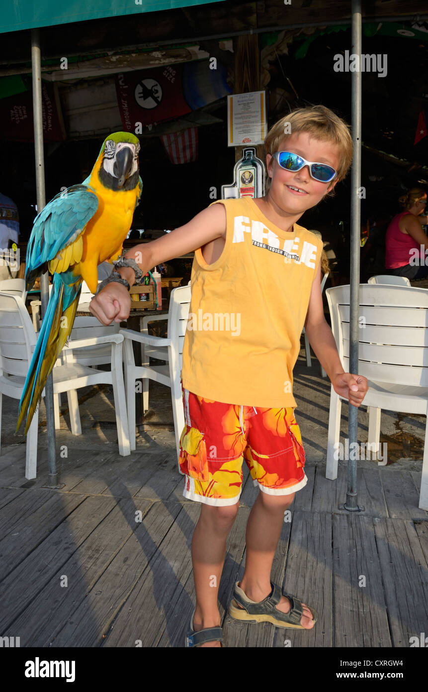 Boy holding a parrot, a blue-and-yellow Macaw (Ara ararauna), Key West ...