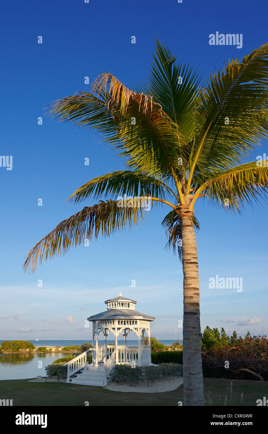 Pavilion, palm tree, Hawks Cay Resort, Duck Key, Florida, USA Stock ...