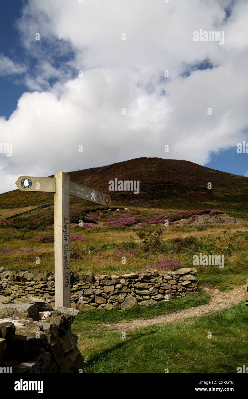 View of signpost showing path in front of Moel Arthur, Clwydian Hills ...