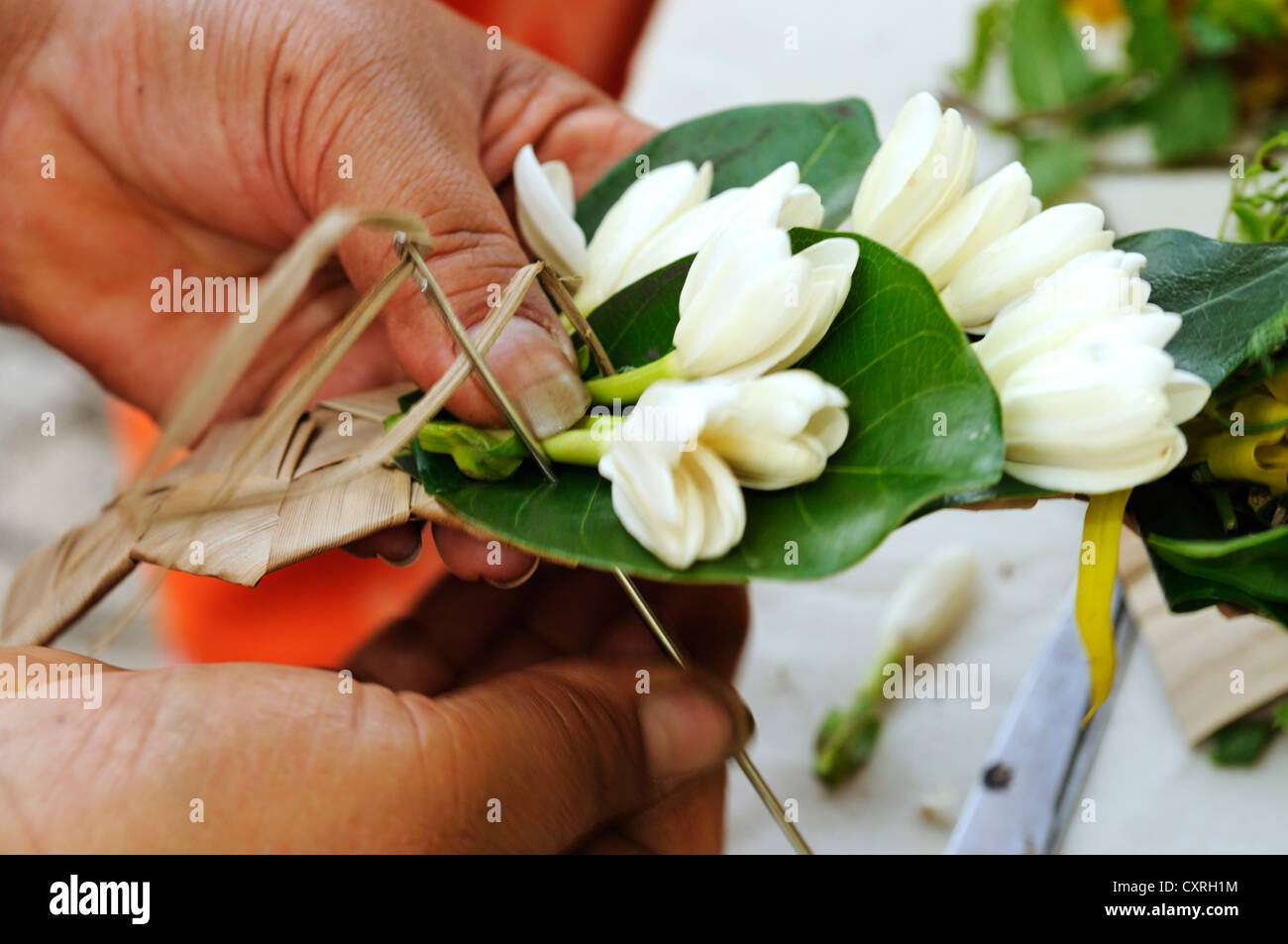 Tahitian woman at a lei, floral garland binding competition, Papeete ...