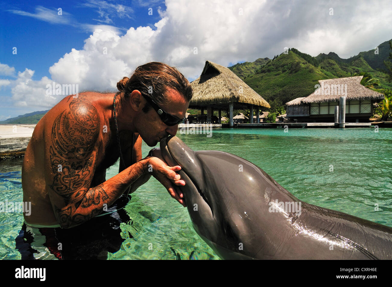Bora Bora Dolphins