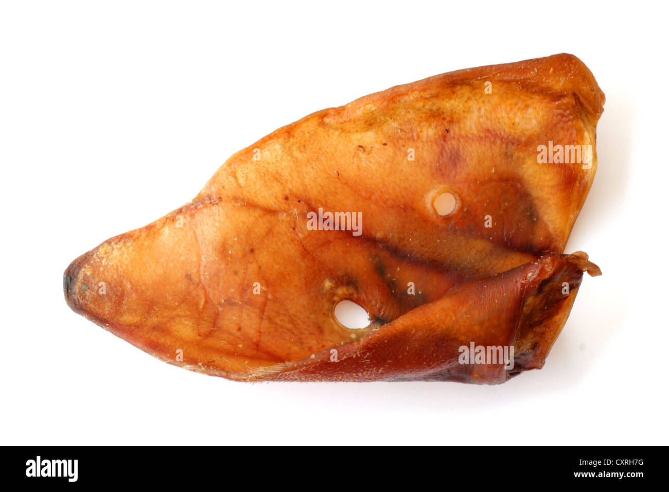 Smoked pig ear for a dog isolated on white background Stock Photo - Alamy