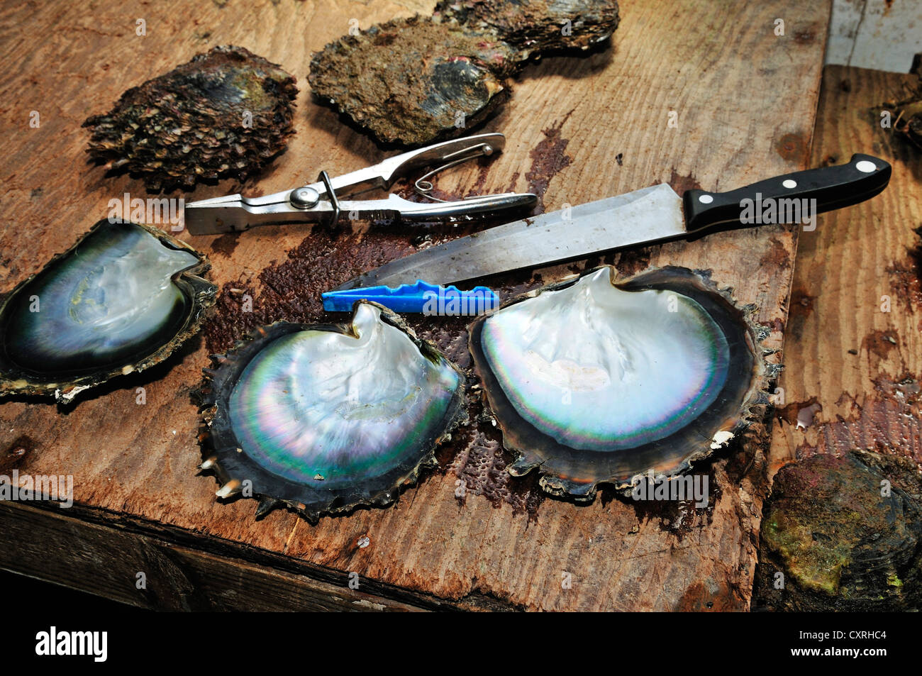 Raiatea french polynesia pearl hi-res stock photography and images - Alamy