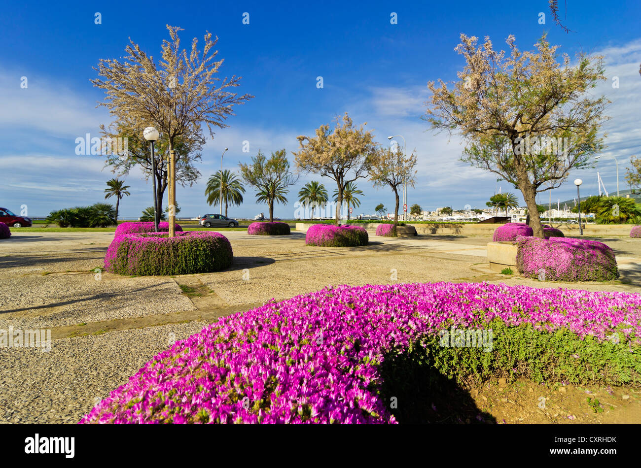 Parc de la Mar park, Palma, Majorca, Mallorca, Balearic Islands, Spain ...