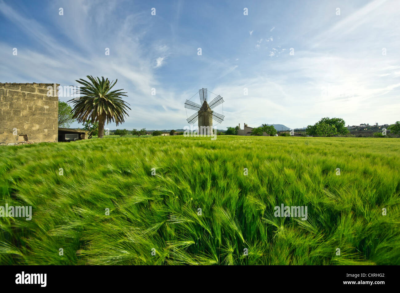 Windmill wheat field hi-res stock photography and images - Alamy