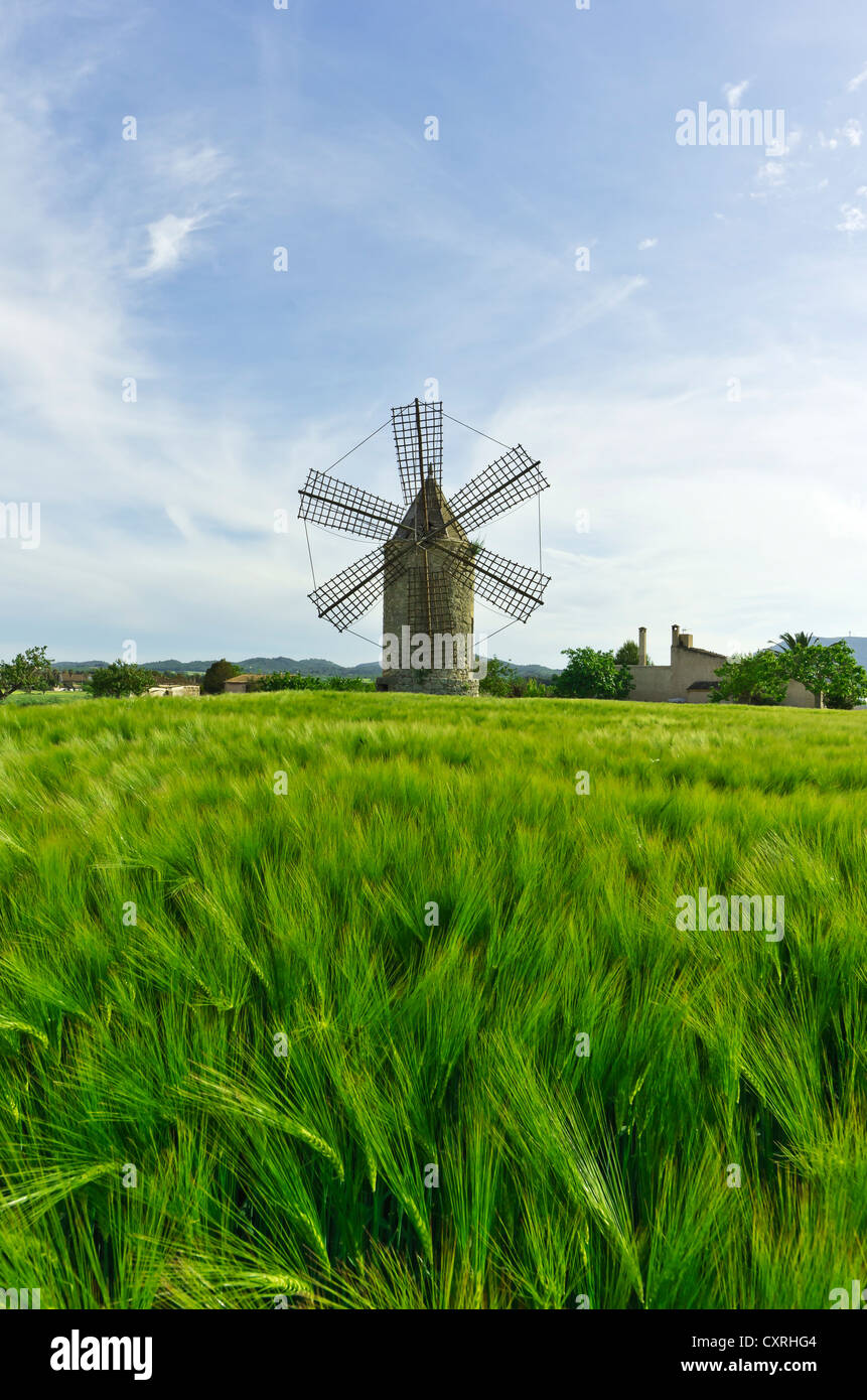 Windmill wheat field hi-res stock photography and images - Alamy
