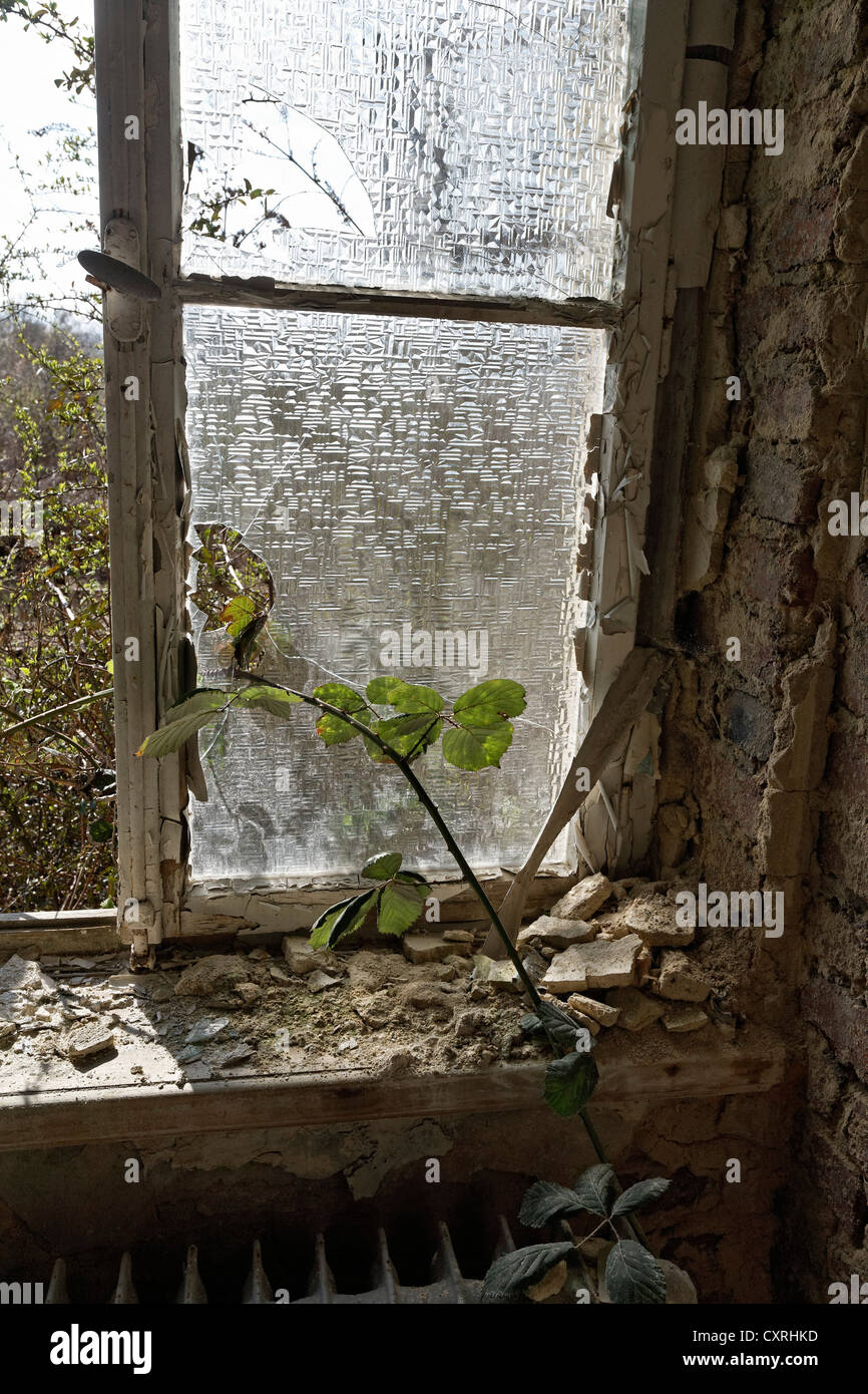 Dilapidated Window High Resolution Stock Photography and Images - Alamy