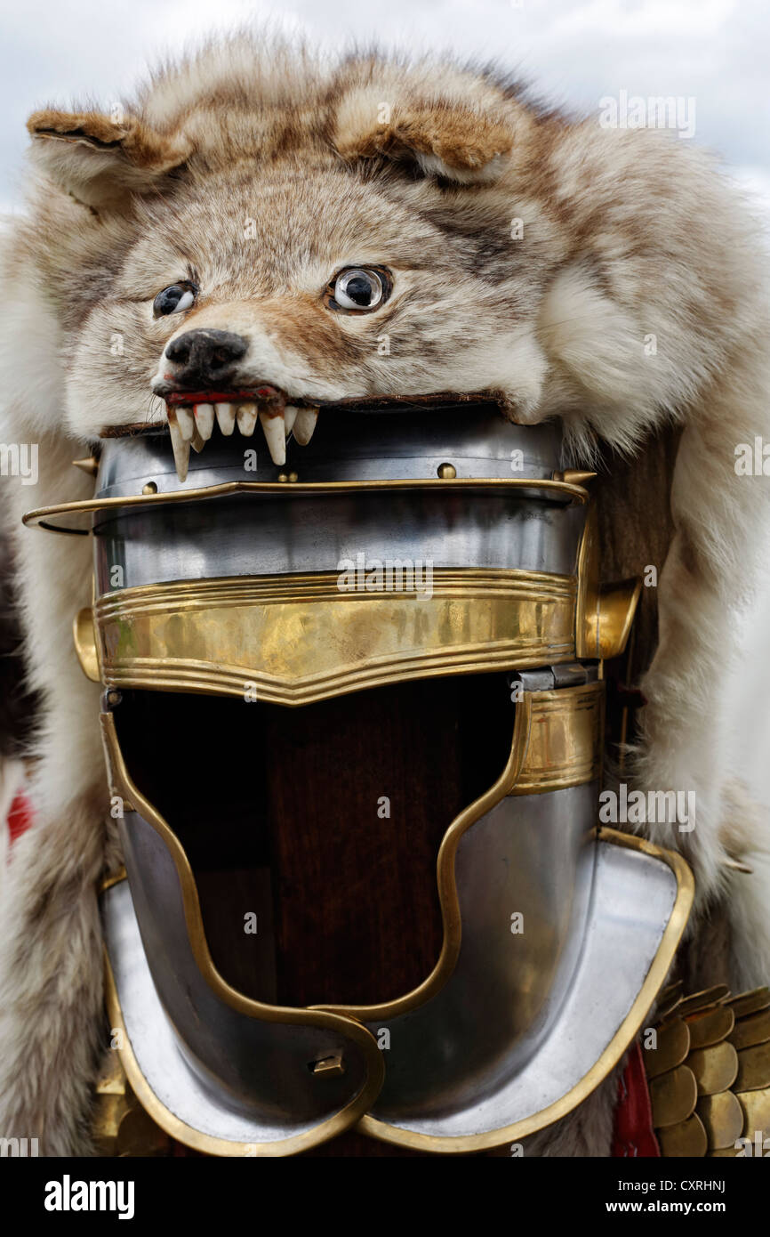 Roman wolf hi-res stock photography and images - Alamy