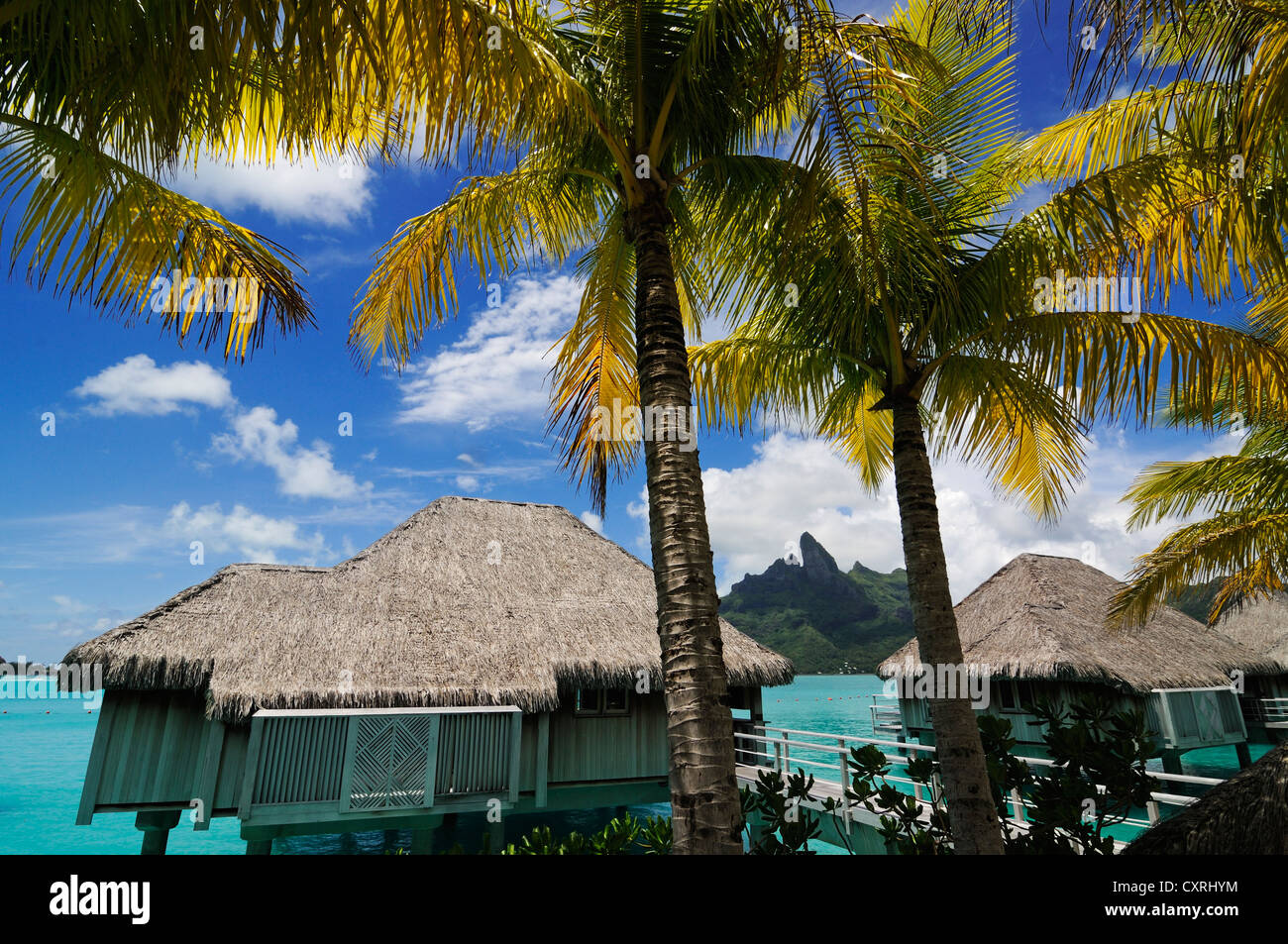 Huts on stilts, St. Regis Bora Bora Resort, Bora Bora, Leeward Islands ...