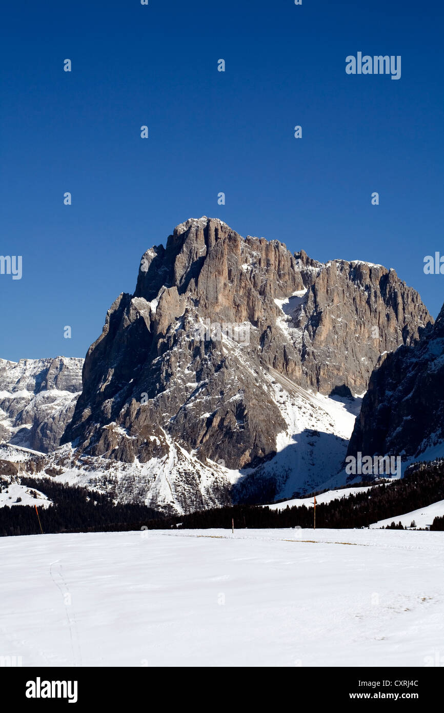 Sassolungo Langkofel and Sasso Piatto Plattkofel Sasplat Selva Val ...