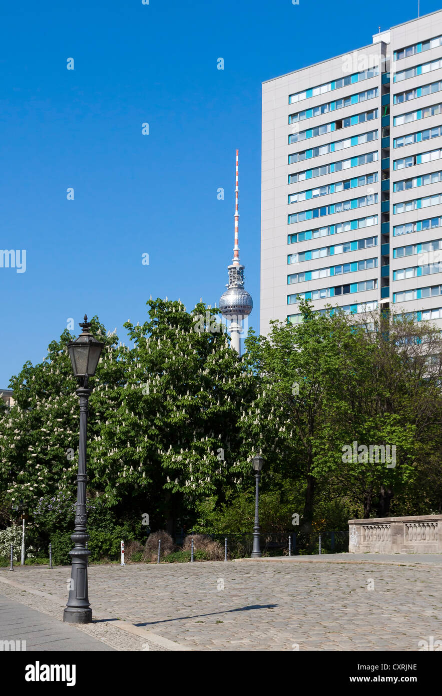 High-rise building next to the Berlin Television Tower, Berlin, Germany ...
