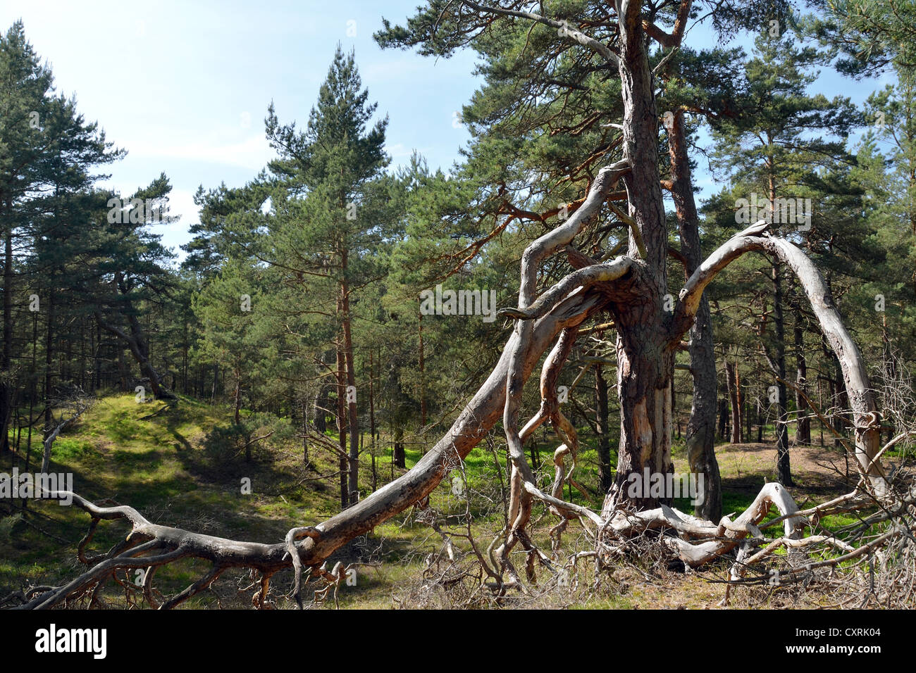 Unspoilt countryside hi-res stock photography and images - Alamy