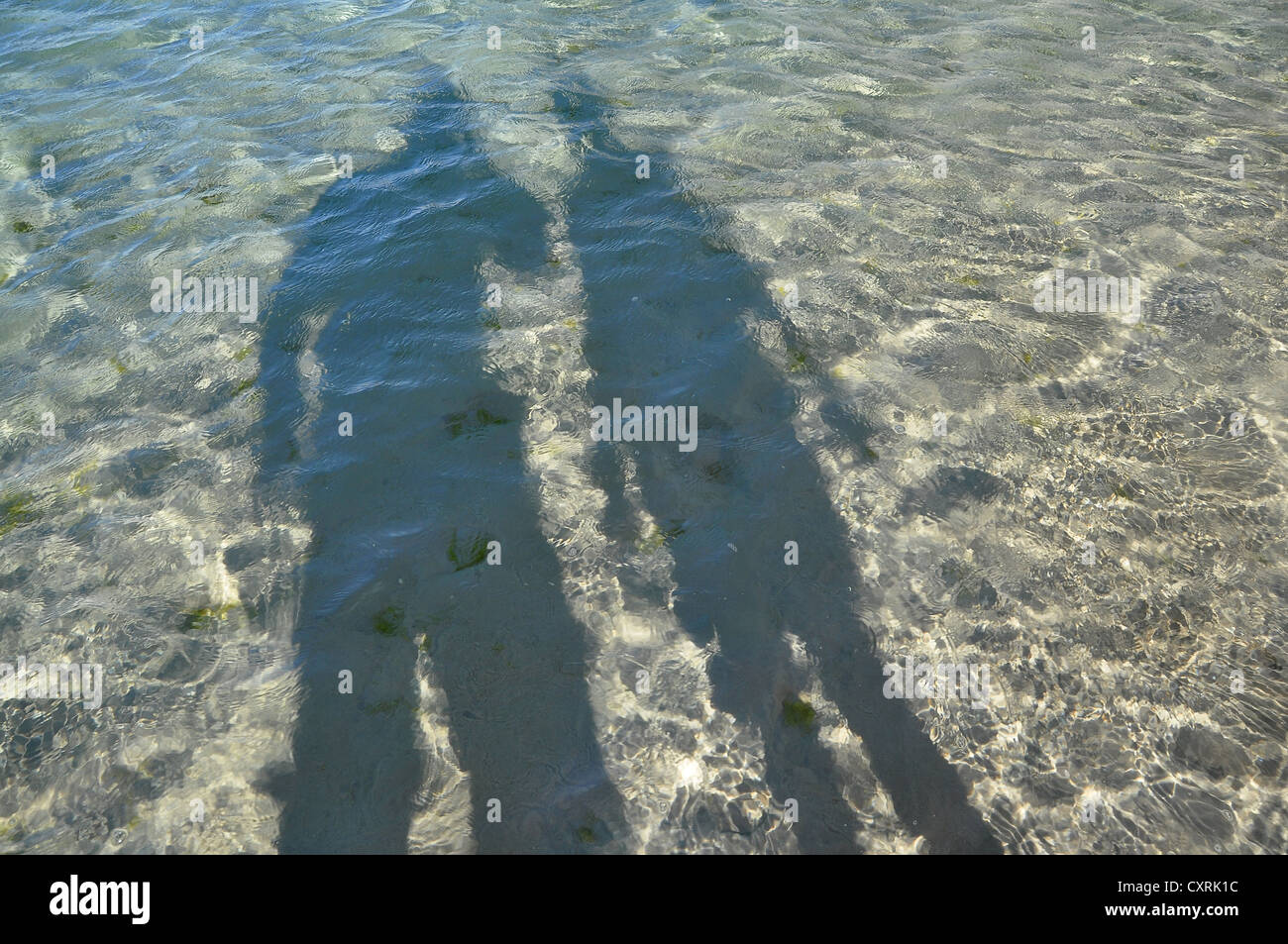 Shadow of a couple in the shallow water at the beach, Caribbean coast ...